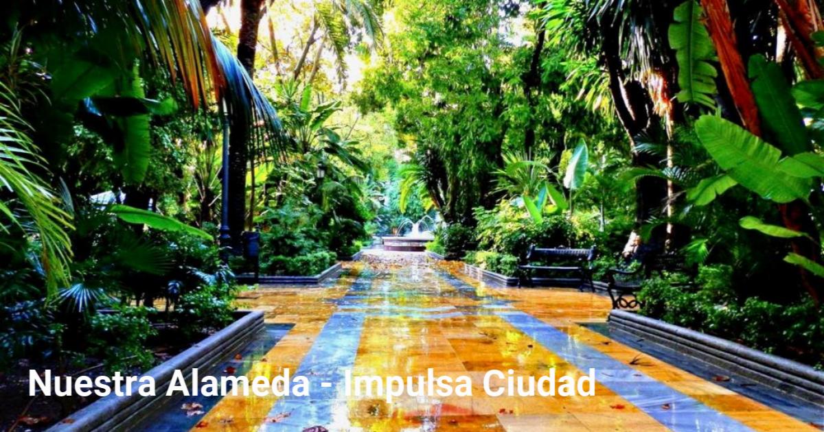 Nuestra Alameda - Impulsa Ciudad